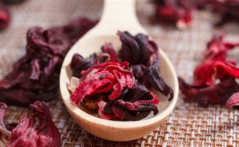 Shampoo de hibisco saiba os benefícios e como fazer passo a passo