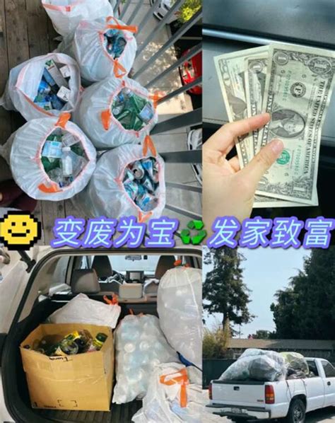 63岁吕丽萍在美国捡垃圾年入400万 你信了吗