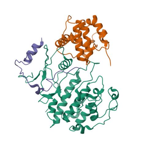 Rcsb Pdb 5uq3 Crystal Structure Of Human Cdk2 Spy1 P27 Ternary Complex