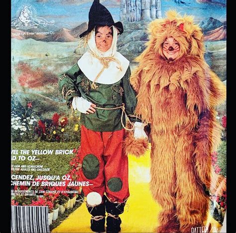 The Wizard Of Oz Lion Costume