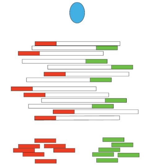 Chip Seq 分析：评估片段长度与处理（6）使用qsep分析文库片段长度 Csdn博客