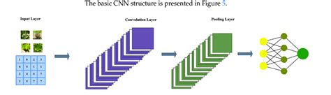 the structure of cnn download scientific diagram