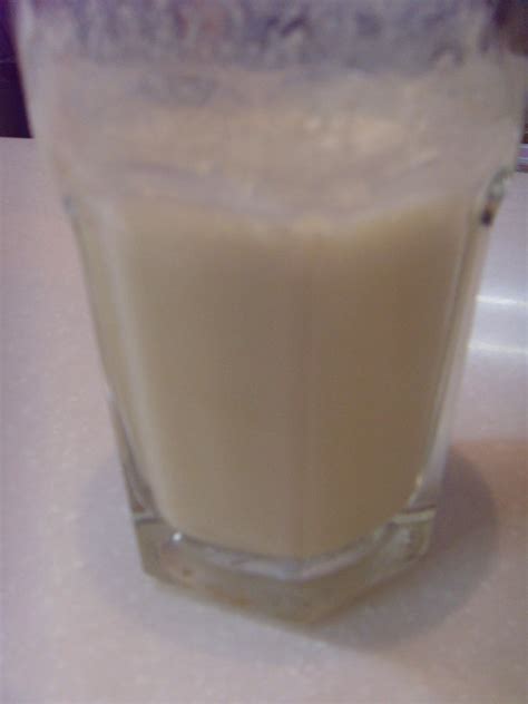 대용량 믹서기 대성아트론 널리팝 믹서기로 사과쥬스 만들기 네이버 블로그