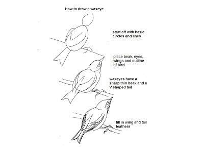Art At Becker Middle Babe 7th Graders Bird Examples Here Art Handouts Middle Babe Art