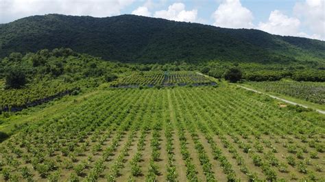 ក្លឹបអ្នកកាសែតកម្ពុជានិងថៃ បានទៅដល់តំបន់សក្តានុពល៣ទីតាំងនៃខេត្តកែប ក្នុងដំណើរទស្សនកិច្ច២ថ្ងៃ