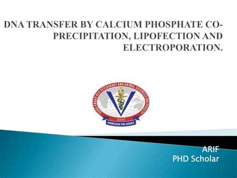 Microinjection Gene Transfer Method Pptx