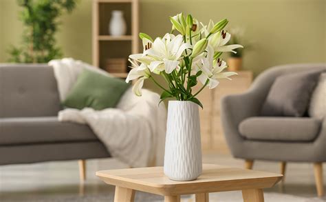 Ceramic Vase For Home Decorcopotea 8 Inch White Flowers