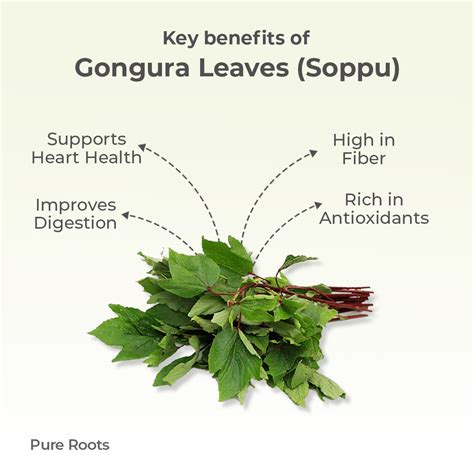 100 Organic Green Leaves Nutritious Soppu Greens