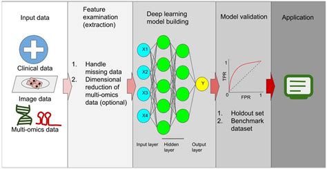 The Application Of Deep Learning In Cancer Prognosis Prediction
