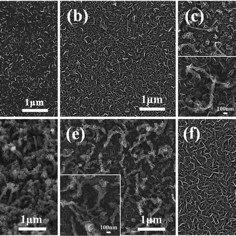 Sem Images Obtained From A Sample Grown On The Variation In Co Catalyst