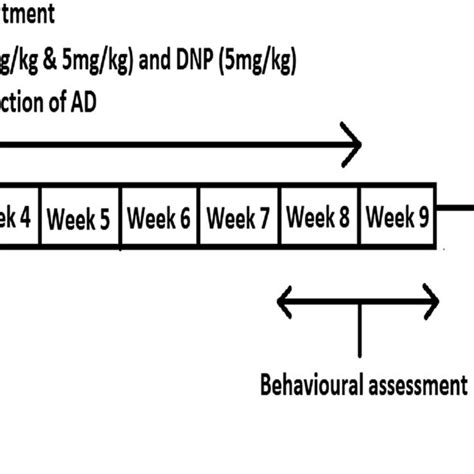 Diagrammatic Representation Of Experimental Procedure Download Scientific Diagram