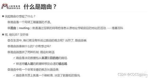 Vue、vuejs从入门到精通 Vue Router详解 Csdn博客