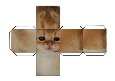 Not Floppa But Its A Cube Like Floppa R Bigfloppa