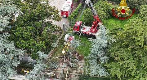 Maltempo A Verona Il Recupero Di Un Albero Caduto Nel Canale Camuzzoni