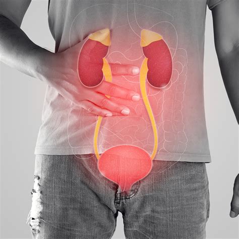 Urinary Incontinence Management Integrating Technology For Better