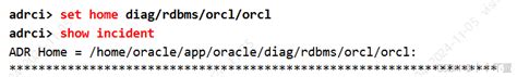 Oracle故障诊断（一线dba必备技能）之adrci（五）：adrci综合应用oracle Adrci Csdn博客