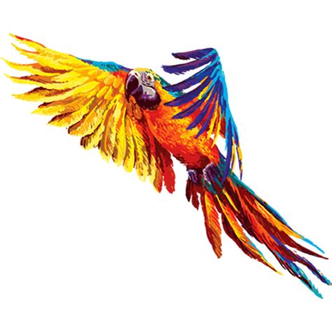 Vp700 Commercial Color Label Printer Vipcolor