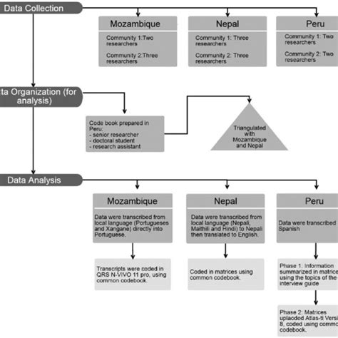 Data Collection And Analysis Process Download Scientific Diagram