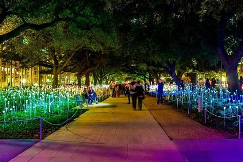 Houston Discovery Green Christmas Lights At Mitchell Dorgan Blog