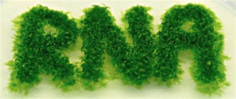 A Portion Of Noncoding Rna May Play An Essential Role In Protecting The Integrity Of The Genome