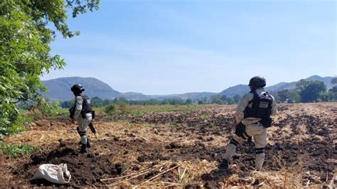 En Jalisco Guardia Nacional Detecta Dos Tomas Clandestinas De Hidrocarburo