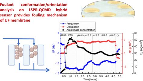 Unraveling Ph Effects On Ultrafiltration Membrane Fouling By Extracellular Polymeric Substances