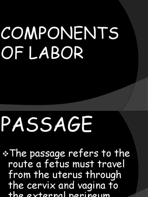 Pdf Components Of Labor1 Dokumen Tips