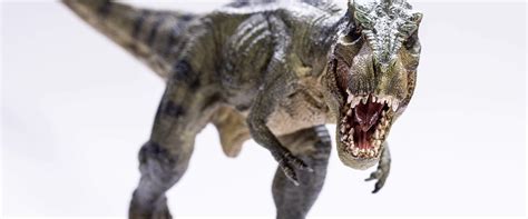 Cada Construction Toys And Models Wonderland Models