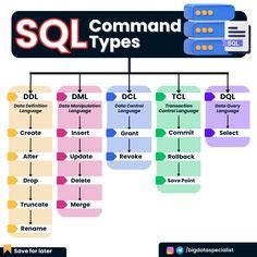 SQL Command Types In 2024 Data Science Learning Data Science Learn