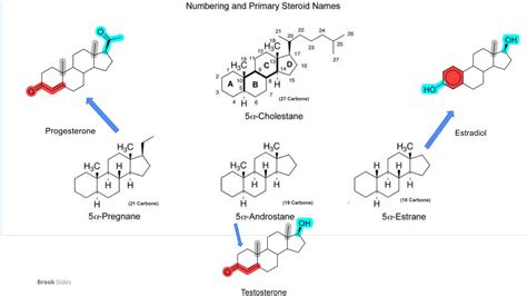 Estrogenagonistantagonist Presentation2pptx