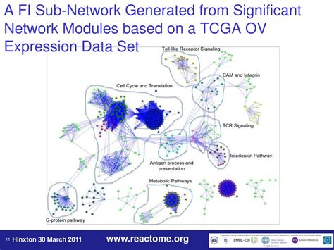 Ppt Reactome Functional Interaction Fi Network Powerpoint