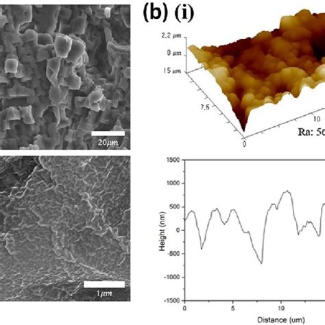 A Sem Image Of Micro And Nano Structures Of Replicated Pdms Iiii