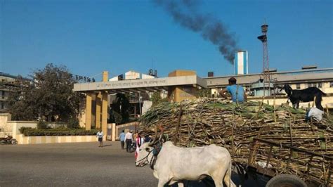 Sugar Factory गळीत हंगाम १ तारखेपासून सुरू कारखानदार आणि संघटना वाद