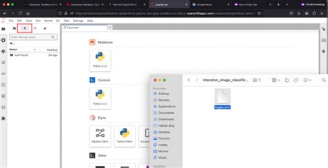 launch jupyterlab and prepare your dataset classify interactive images with jupyter notebook