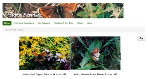 dialectical butterflies archive on libcom