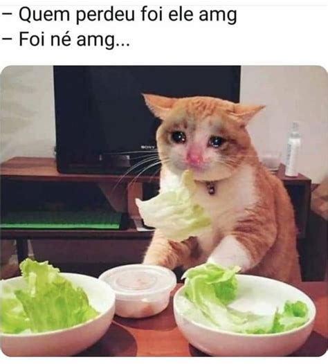 Quem perdeu foi ele amg Foi né amg Memes