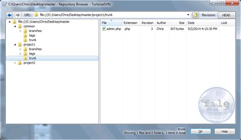 How To Set Up TortoiseSVN External Stack Overflow
