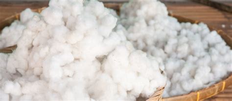 Sustainable Cotton Suppliers And Traders Targray