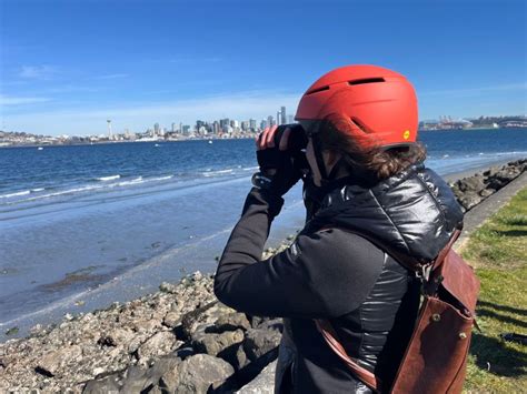 Rachel Aronson On Linkedin Whale Watching By Bicycle On A Sunny Friday