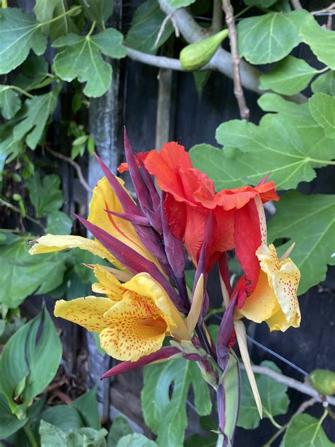 Steven Edney Stevenedney4 Twitter