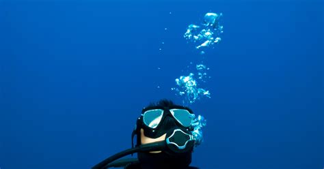 Nypd Scuba Disqualification Appeals