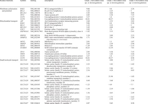 Pcr Array Profiling In Hd Caudate Nucleus Specimens Download Table