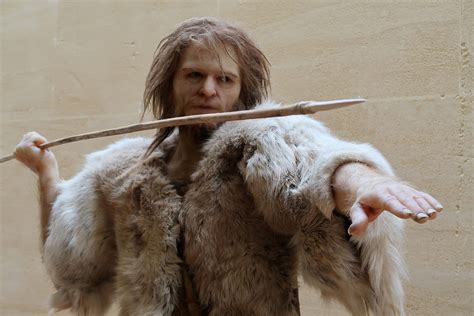 La Chasse à La Préhistoire Hominidés