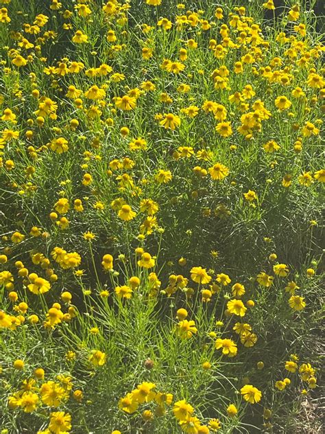 Beth Wills On Linkedin I Know Its Hard To Believe But Summer Is Coming To An End Do You Have…