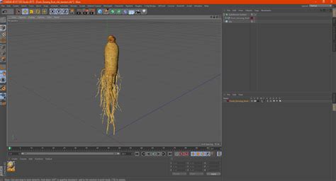Fresh Ginseng Root 3d Model 34 3ds Blend C4d Fbx Max Ma Lxo