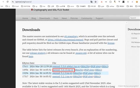 openssl 升级1 1 1 1k 到 3 0 13 服务器 chenshiying007 gitcode 开源社区