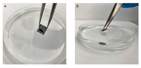 Video Single Particle Interferometric Reflectance Imaging Characterization Of Individual