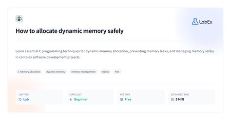 How To Allocate Dynamic Memory Safely Labex