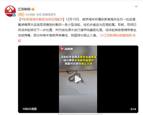 张家港海关截获活体巨渴蛇原木种类南京