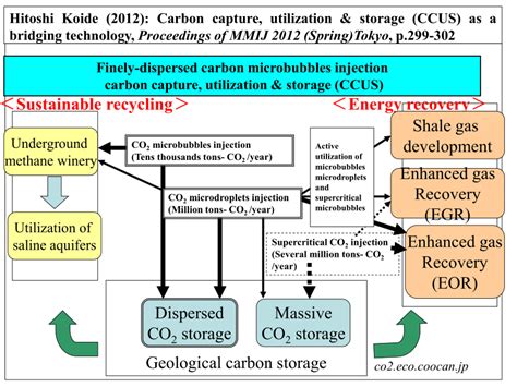 Pdf Carbon Capture Utilization And Storage Ccus As A Bridging Technology